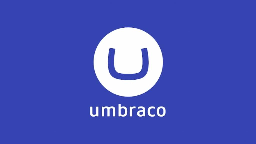 Umbraco Hosting Guide: Elevate Your CMS Experience | Blog | Stablepoint