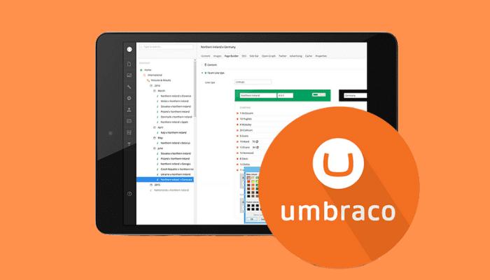 Umbraco Hosting Guide: Elevate Your CMS Experience | Blog | Stablepoint