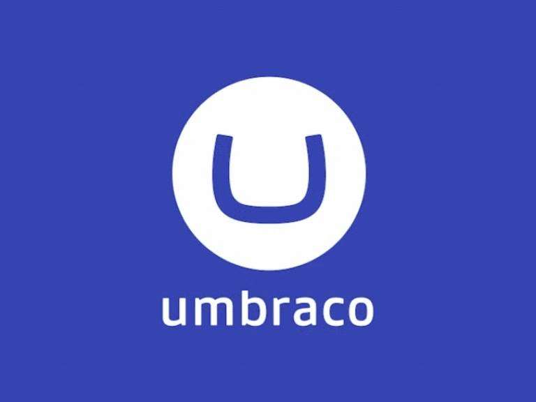Umbraco Hosting Guide: Elevate Your CMS Experience | Blog | Stablepoint