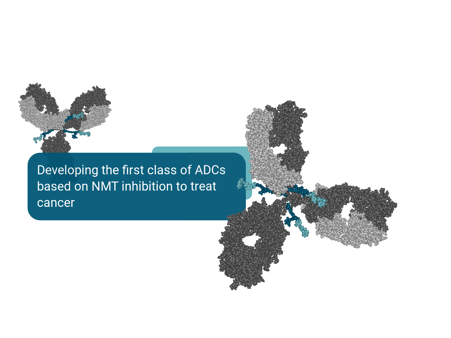 Myricx Bio raised £90,000,000 in an amazing growth funding round.