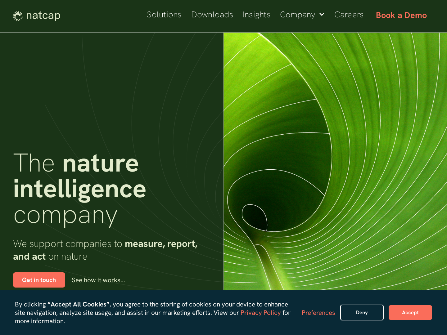 Natcap received US$10,000,000 in a sensational growth funding round.