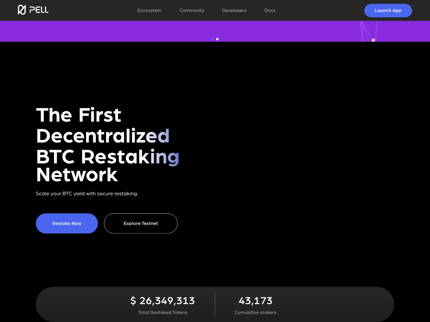 Pell Network received US$3,000,000 in a thrilling seed funding round.