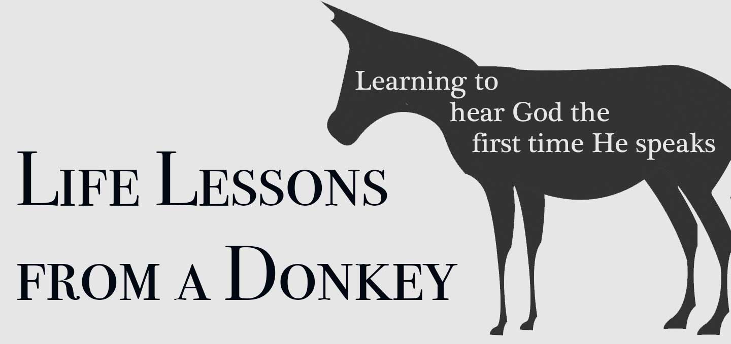 Lessons from a Donkey – Bacon's Castle Baptist Church