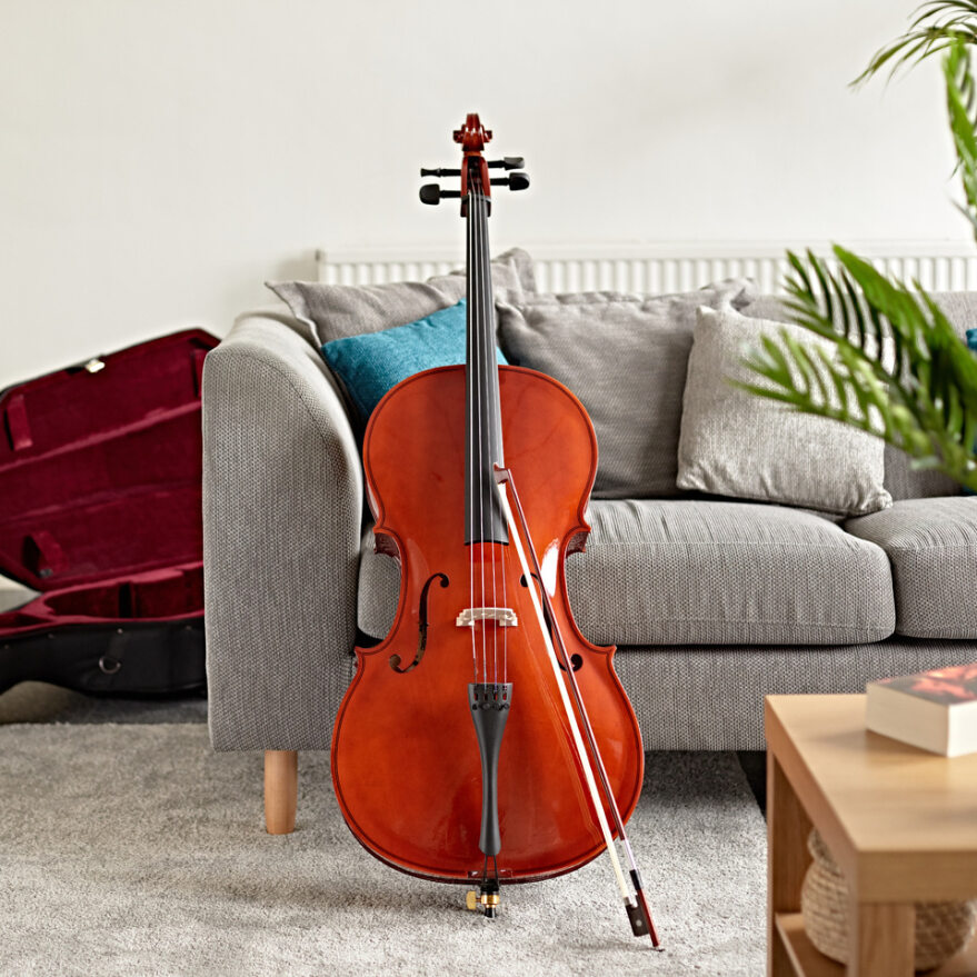 Violin vs. Cello: Which One Should You Learn?