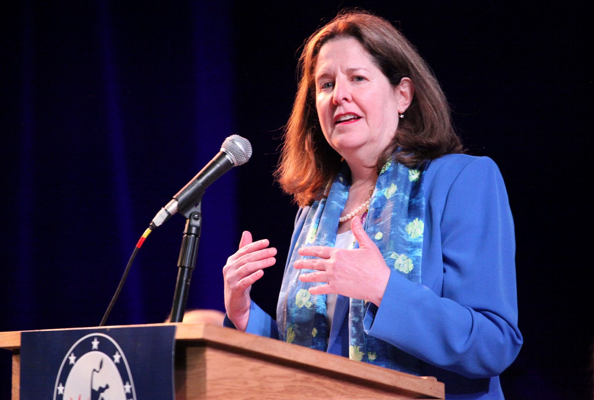 Alexandria Democrats Honor Former Mayor and City Councilors - The Zebra ...