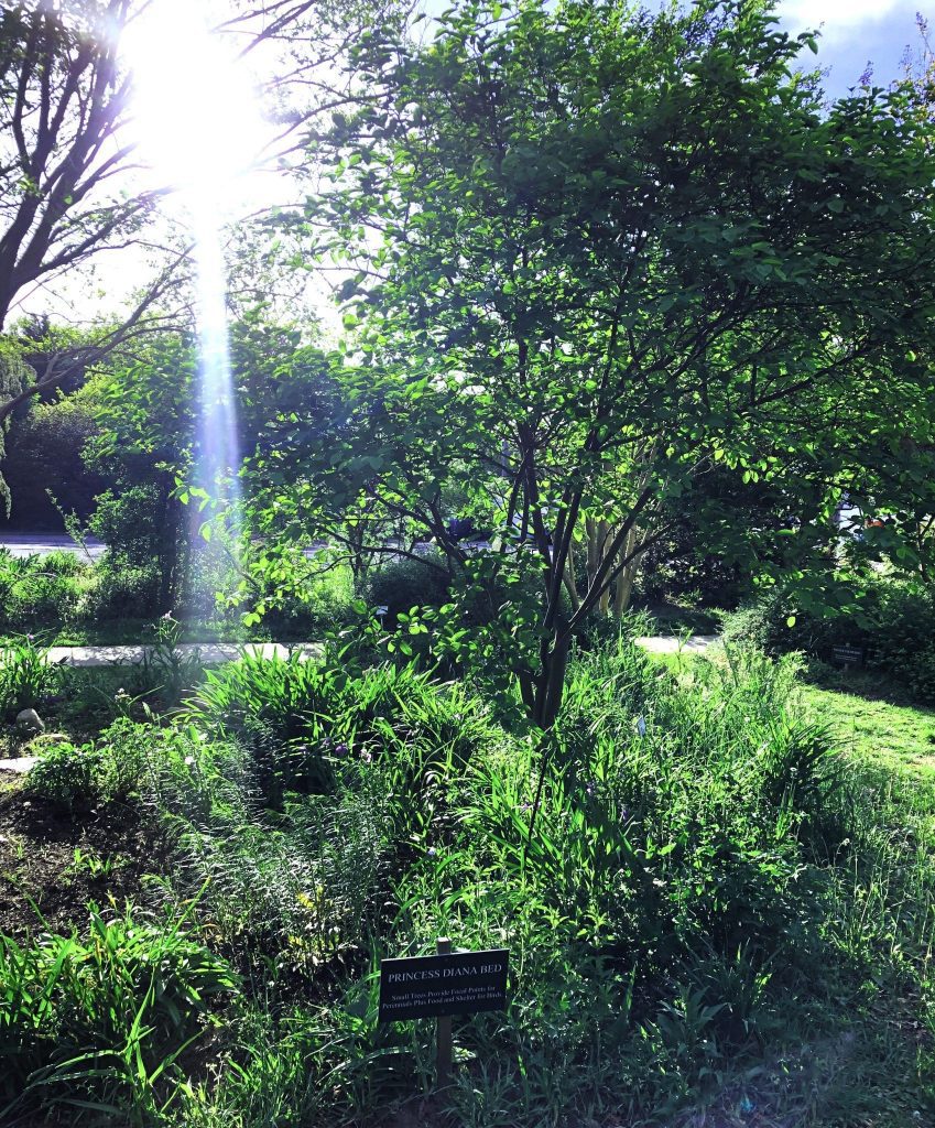 Little Alexandria: The Simpson Park Playground is Back! - The Zebra ...