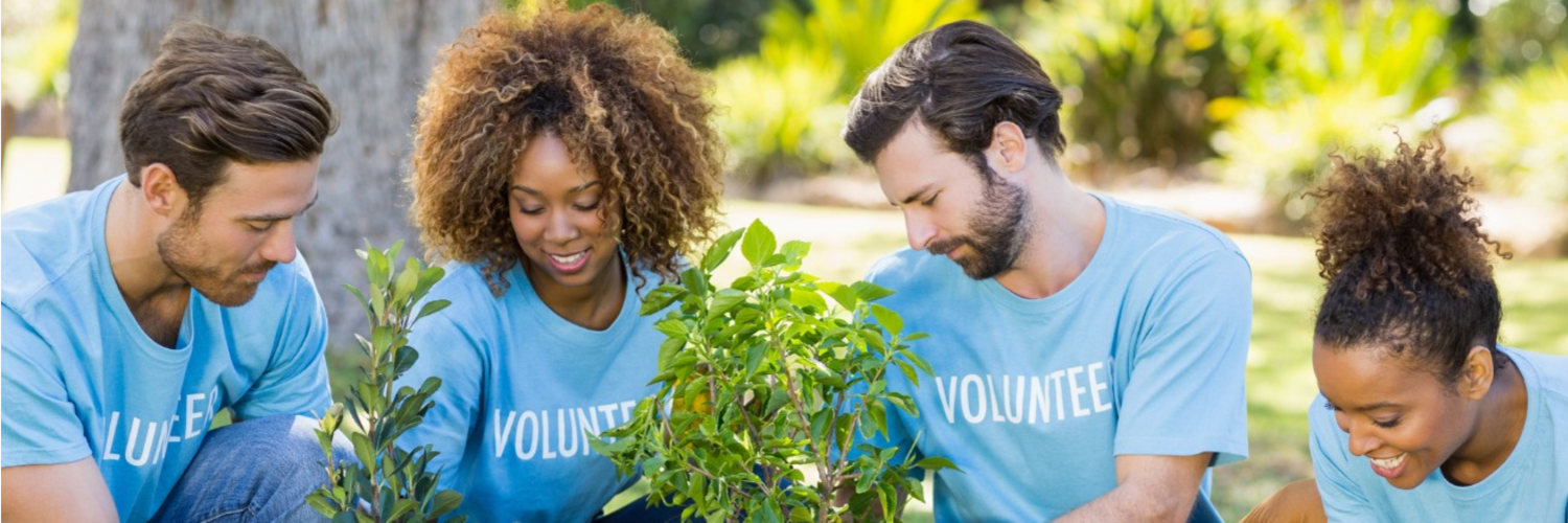 Volunteer Alexandria: Get Involved and Make an Impact in your Community ...