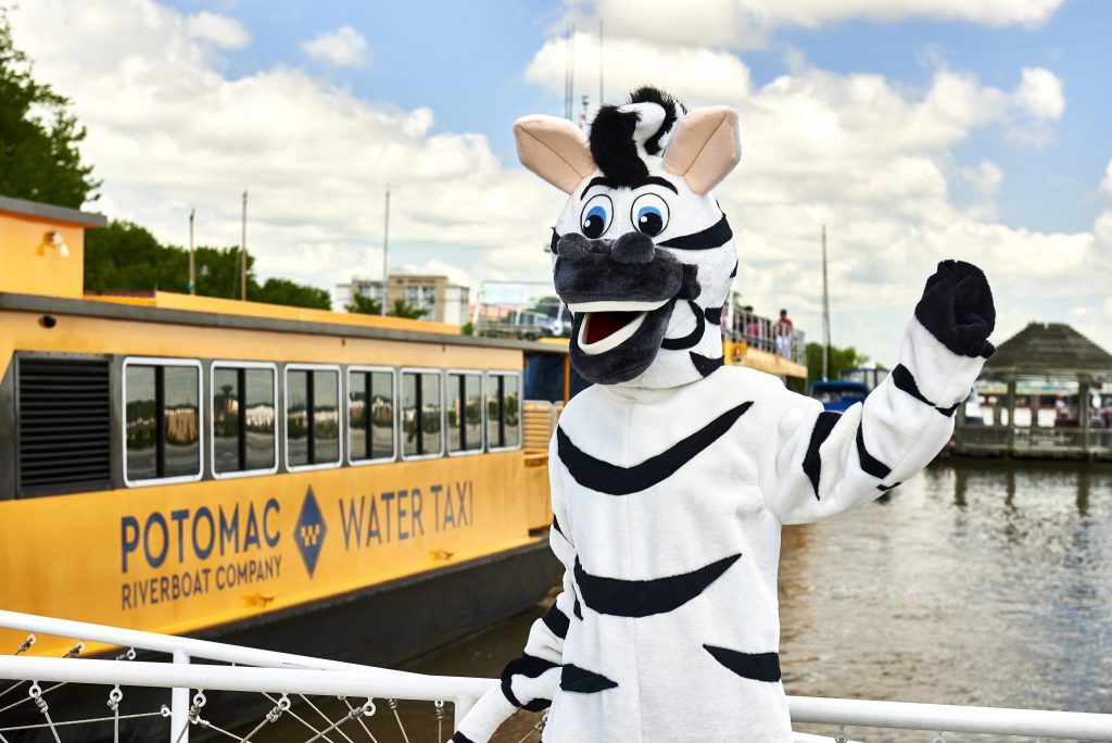 Z-Pick of the Month—The Alexandria Water Taxi! - The Zebra-Good News in ...