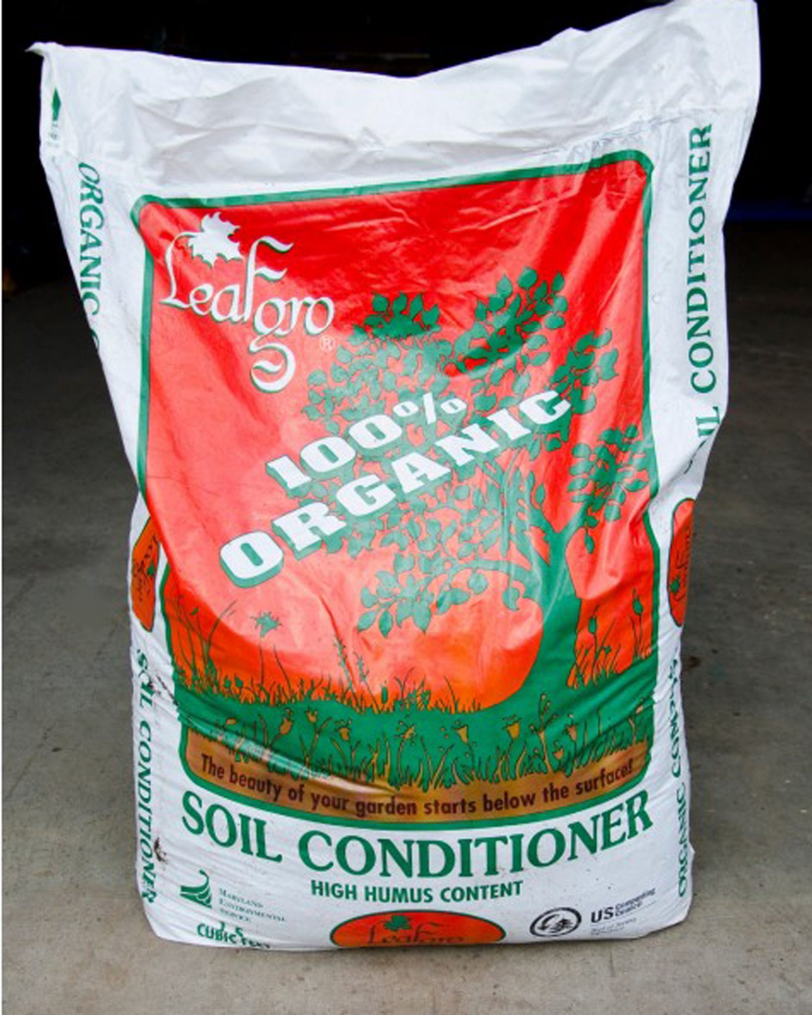 Now is the Time for Lawn Renovation - The Zebra-Good News in Alexandria