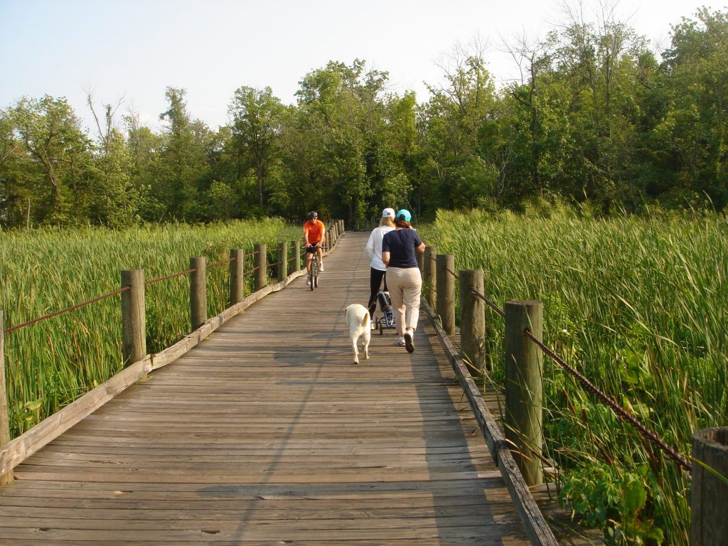 The Watery Wonderlands of Northern Virginia - The Zebra-Good News in ...