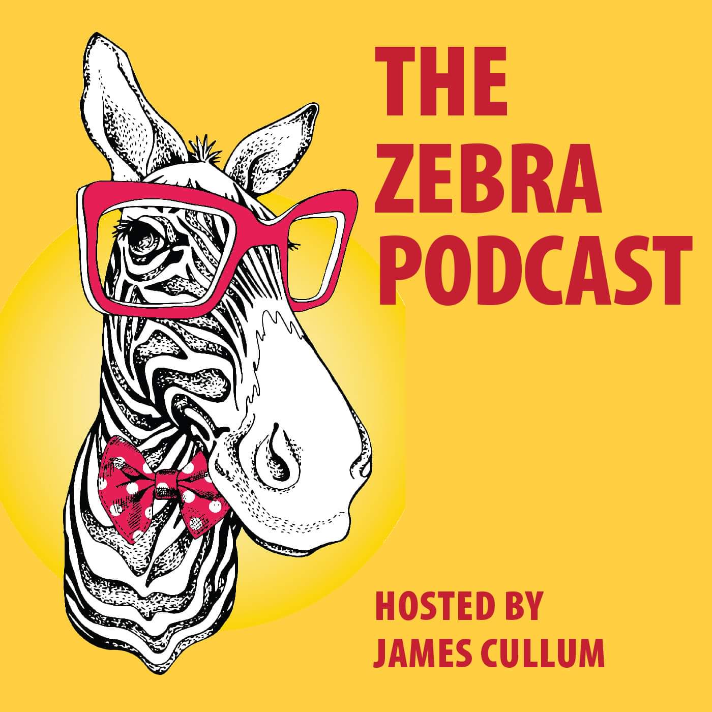 The Zebra Podcast - The Zebra-Good News in Alexandria