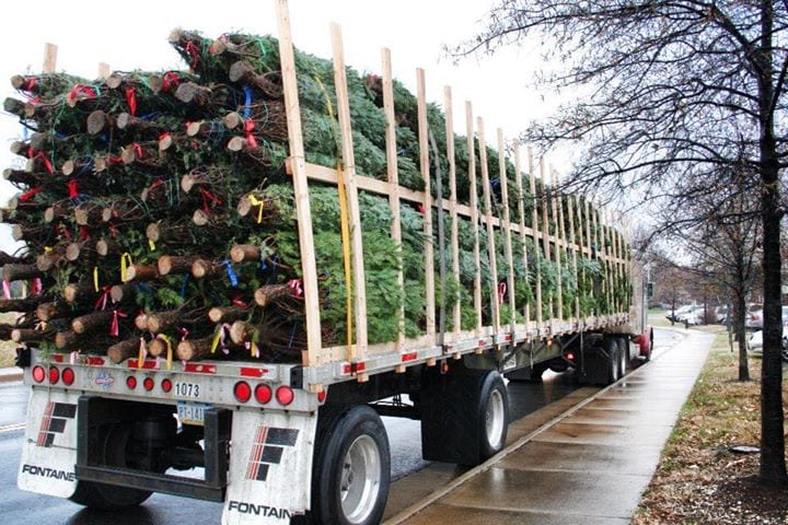 Alexandria Police Christmas Trees Will Send Kids to Camp—Sale Starts ...