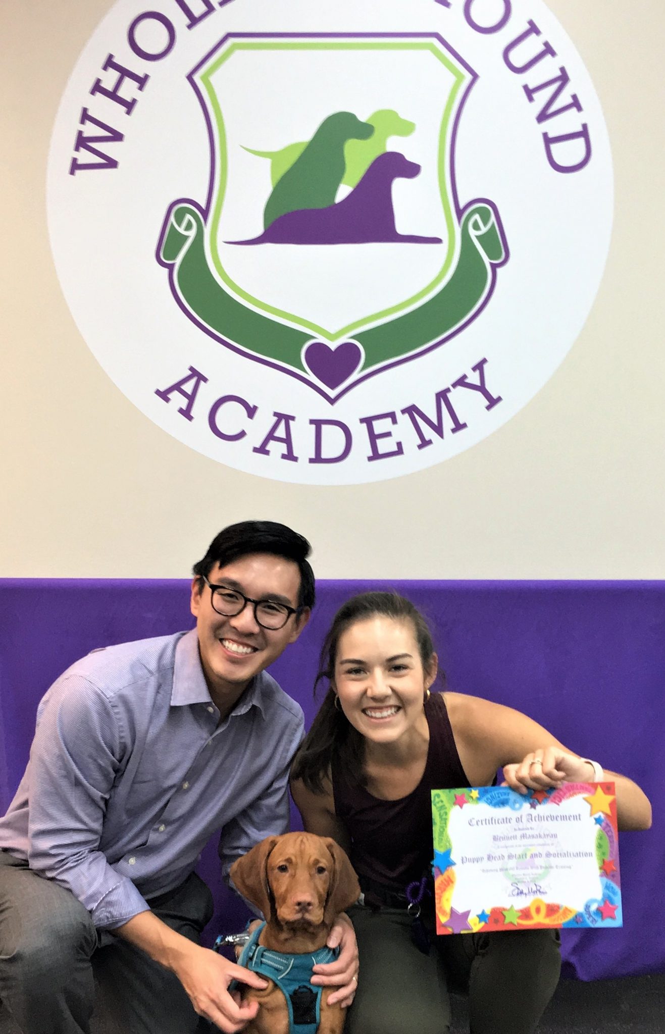 January is National Train Your Dog Month - Let's Get Started!