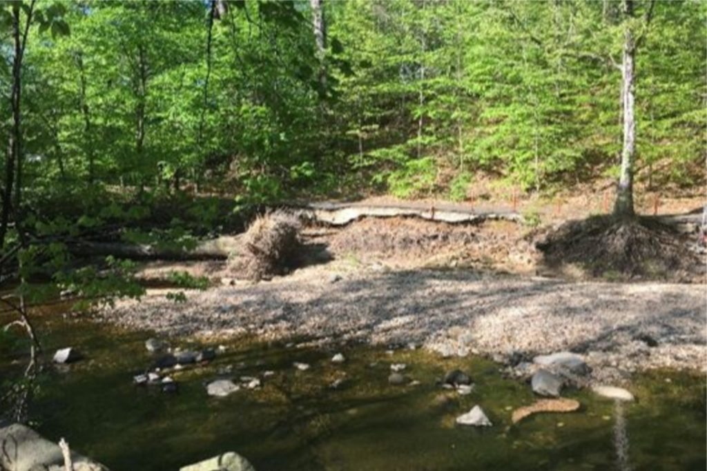 $6 Million Can Reopen Alexandria's Holmes Run Trail - The Zebra-Good ...