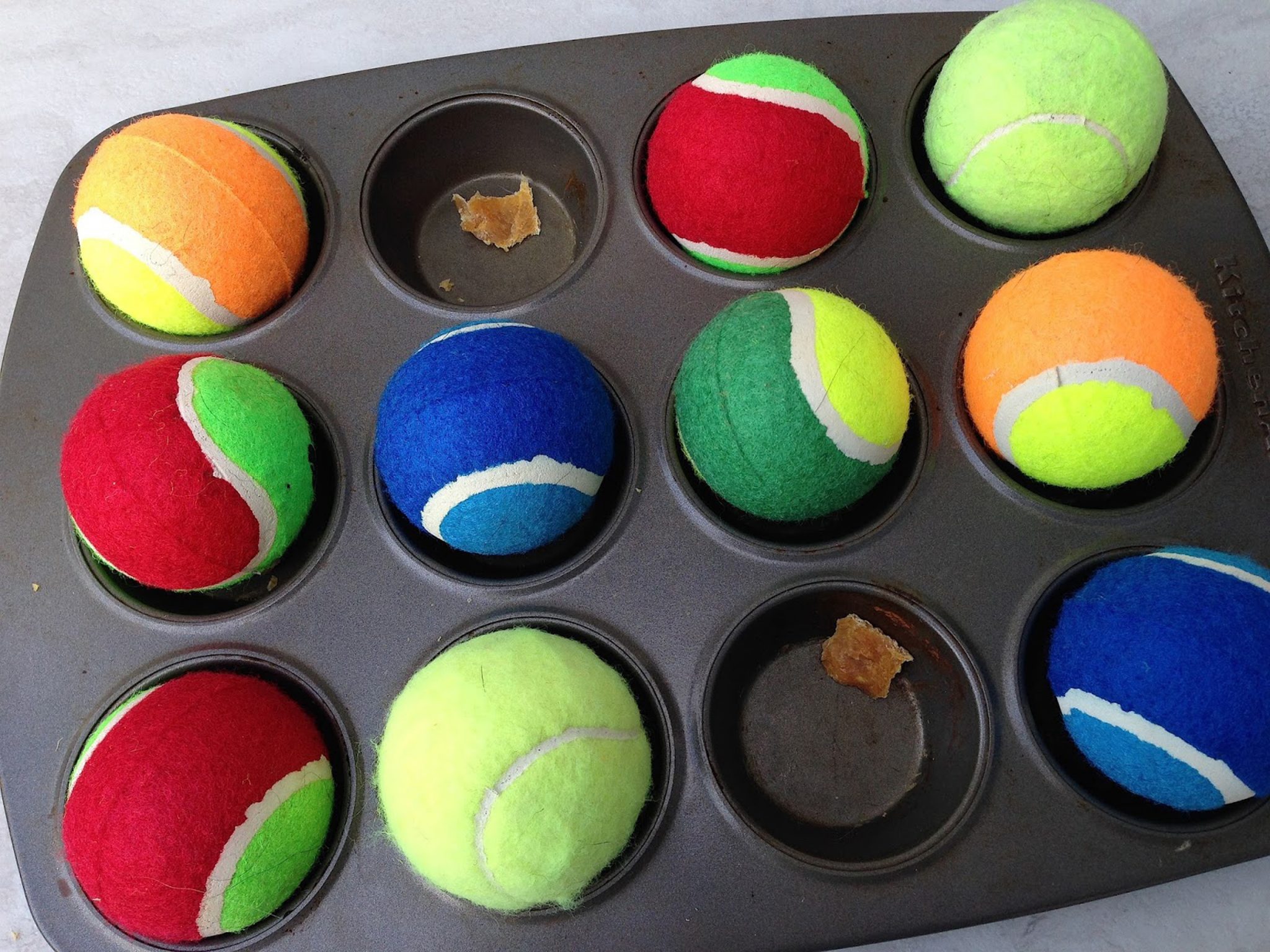 Training Time - Easy, DIY Enrichment Games for Your Pup