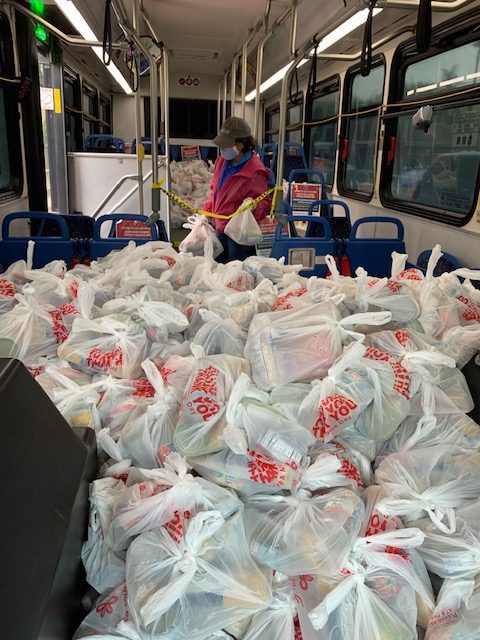 Quarantales #1: Interview with Jennifer Ayers, Executive Director of ...