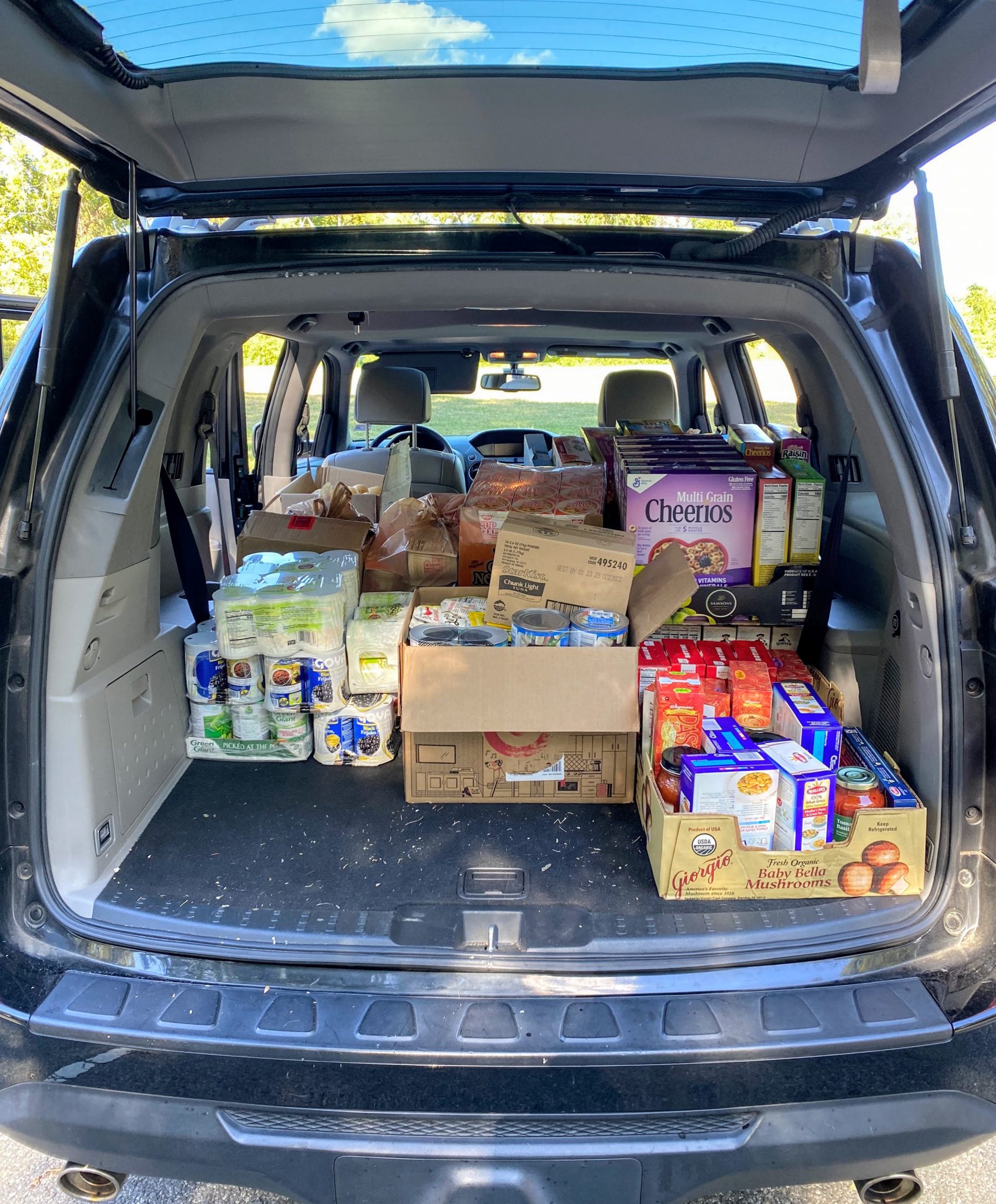 Small-Scale Food Drive Making a Big Difference