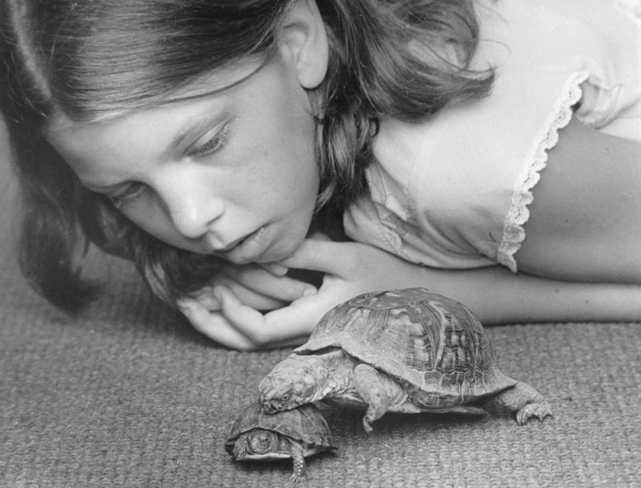 Memories and Musings - On Gratitude