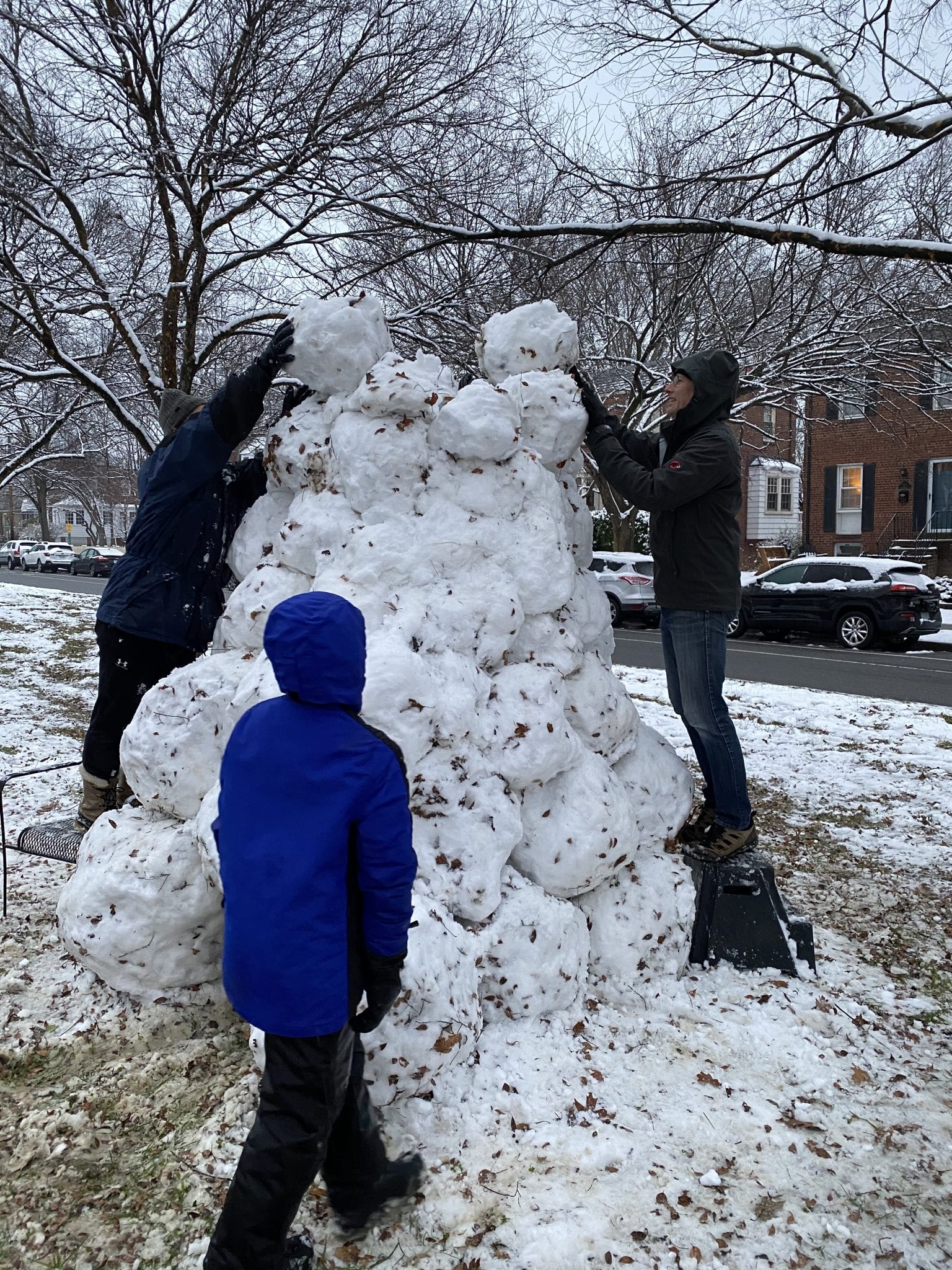 How The Commonwealth Ave Snow Fort Created Community Cheer - The Zebra ...