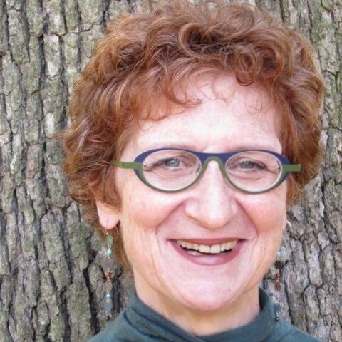 FREE ZOOM LECTURE SERIES: Dr. Susan Strasser Discusses Black History