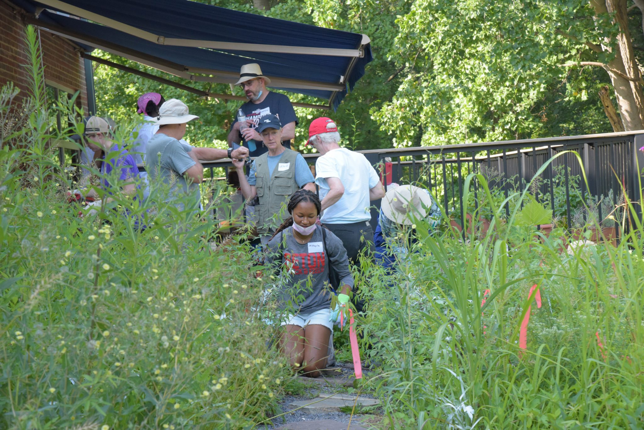 Saving “Buddie” Ford Nature Center’s Pollinator Garden