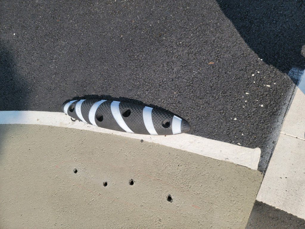 What Residents Are Saying About The New Commonwealth Zebra Bumps - The ...