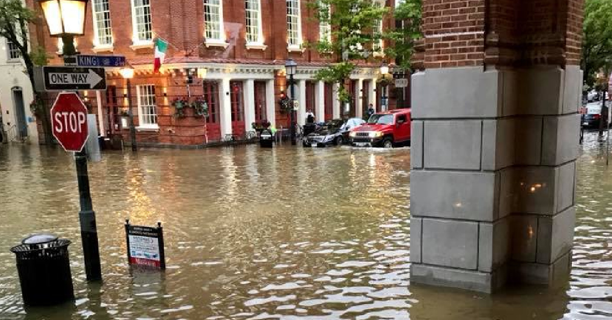Alexandria's Flooding Problem To Be Addressed Through Variety of ...