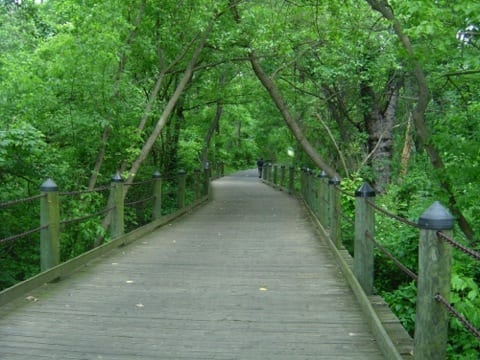 Nominate Alexandrians for Environmental Award by March 18