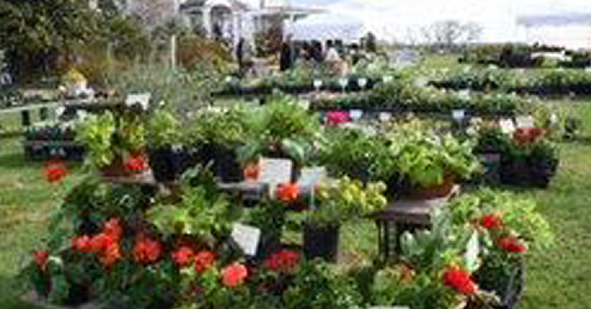 Spring Garden Market Back at River Farm As AHS Celebrates its 100th ...