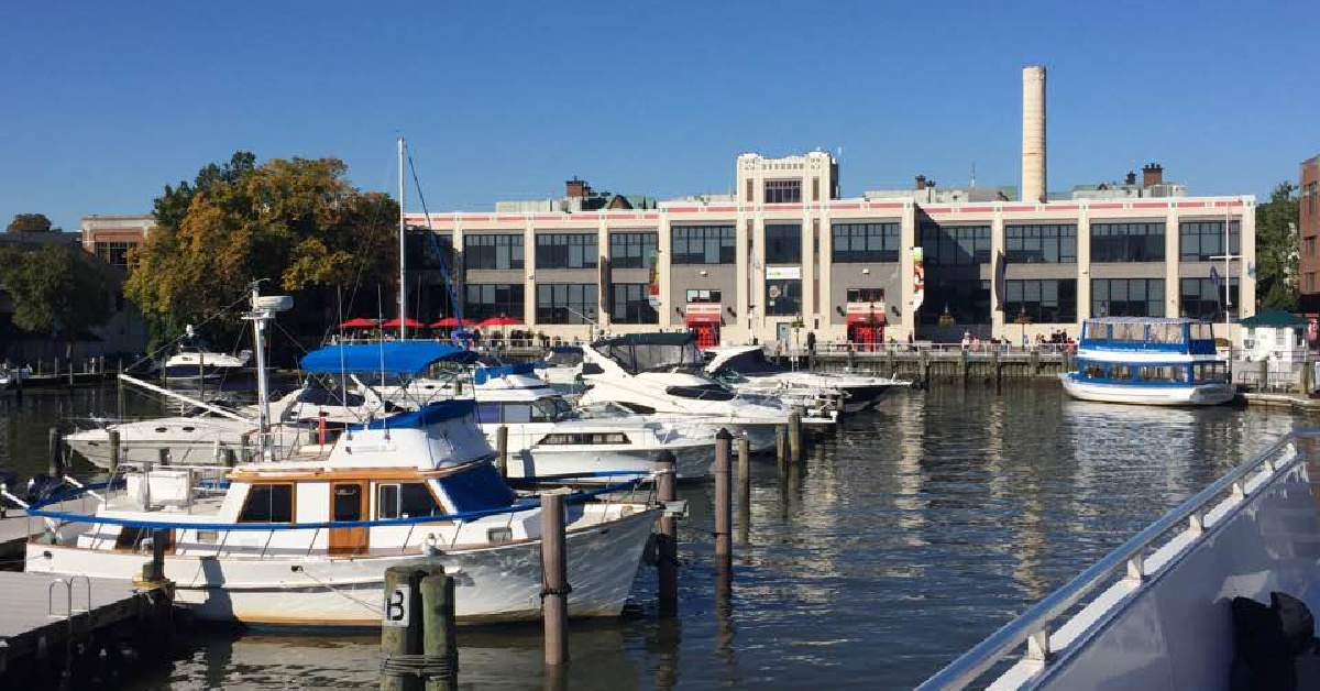 Torpedo Factory Welcomes 26 New Artists, Principle Gallery Hosting ...