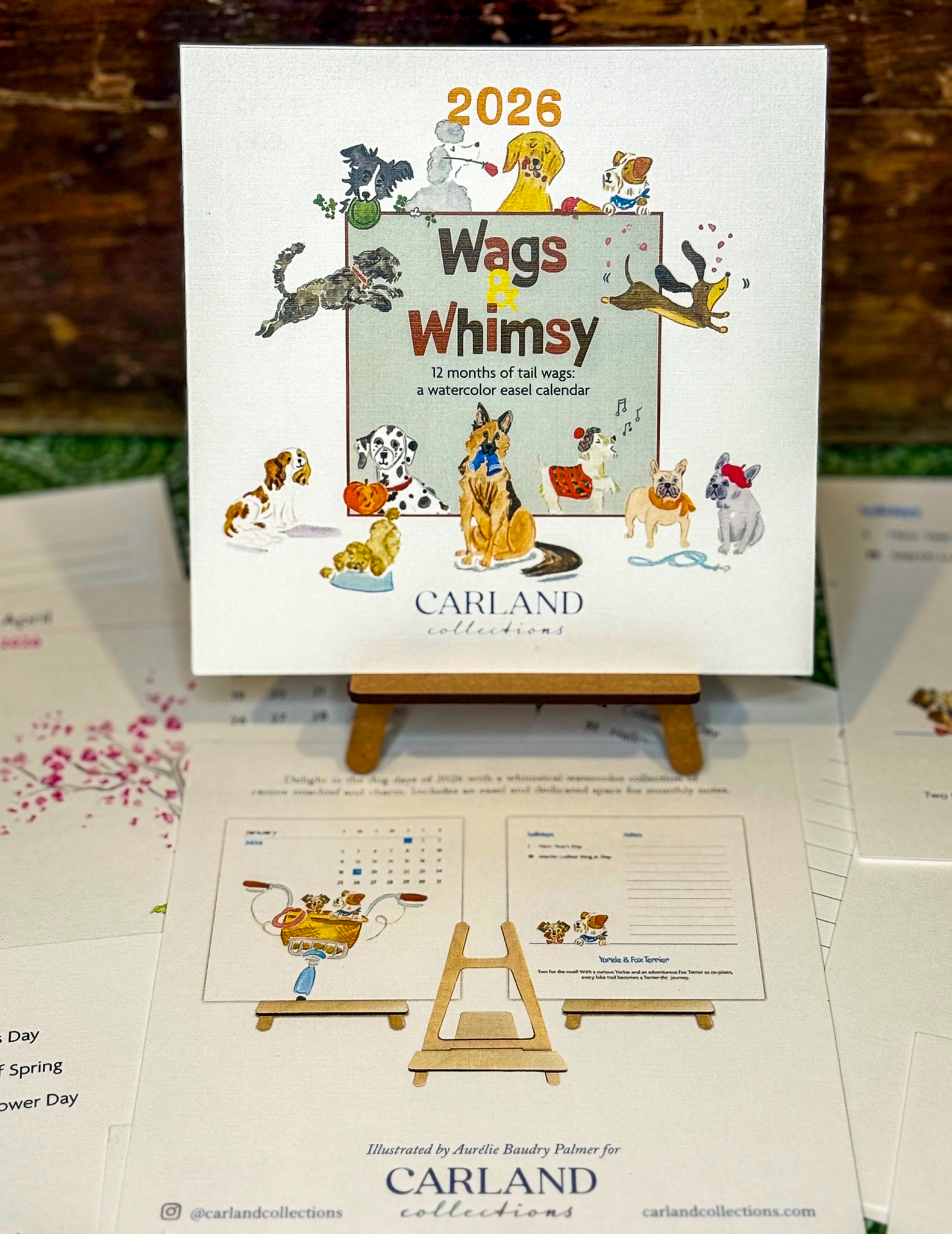 Art, History, and a Touch of Whimsy: Old Town Welcomes Aurélie Baudry ...