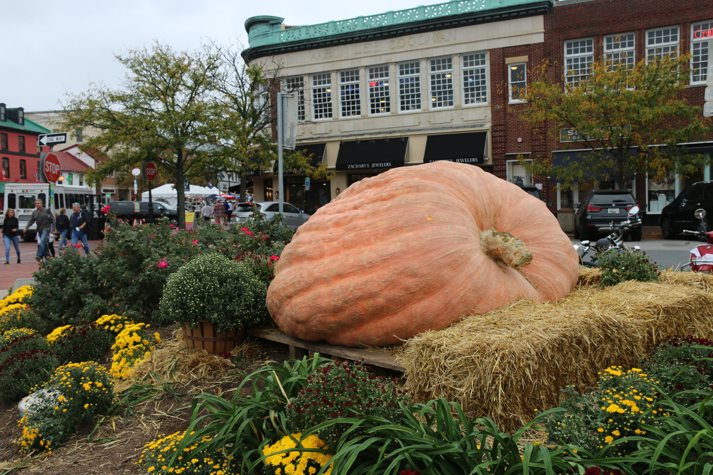 Great Annapolis Pumpkins Return: Giant Fall Fun Near Alexandria
