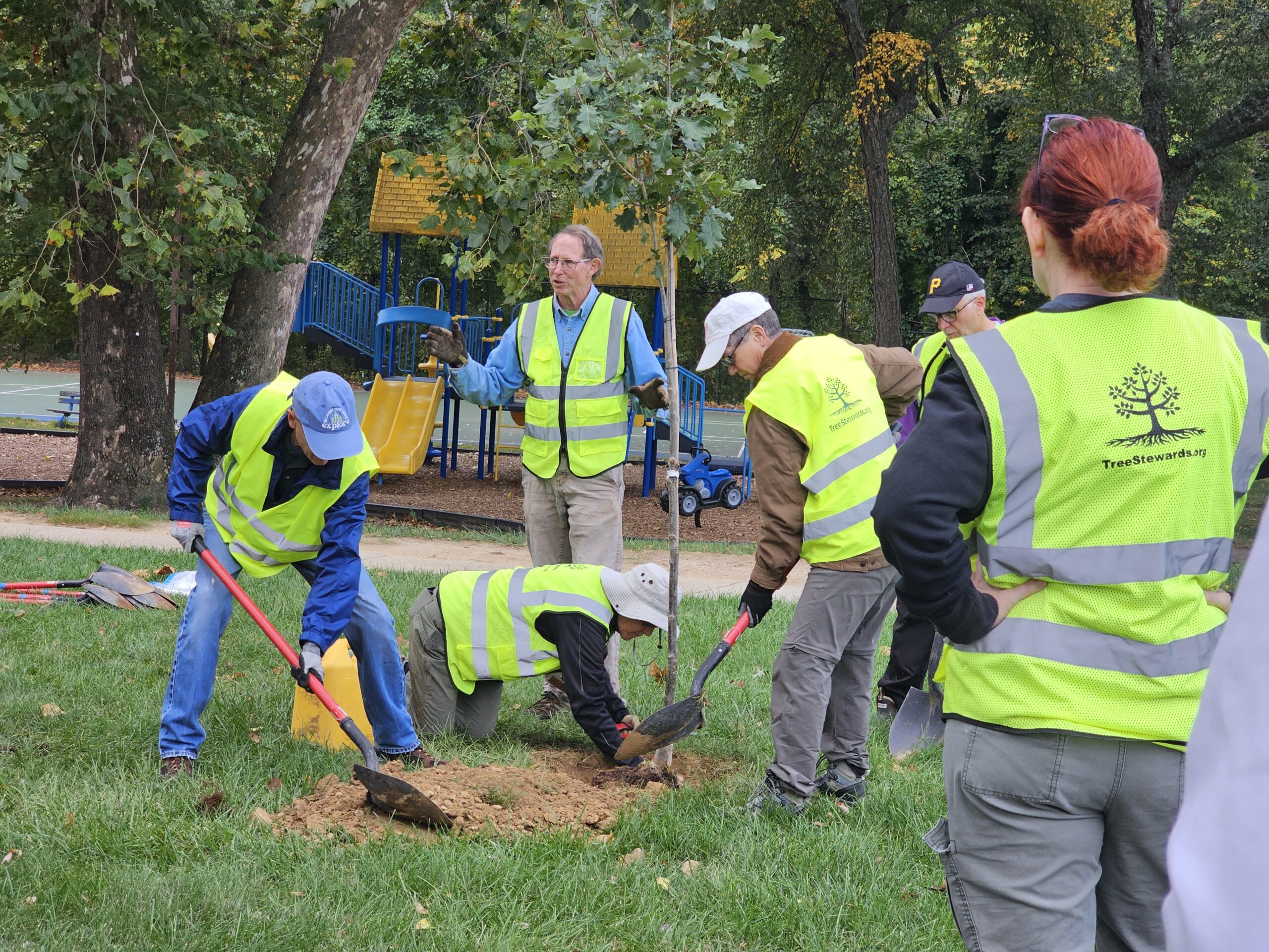 Tree Planting at Lynbrook – Something New