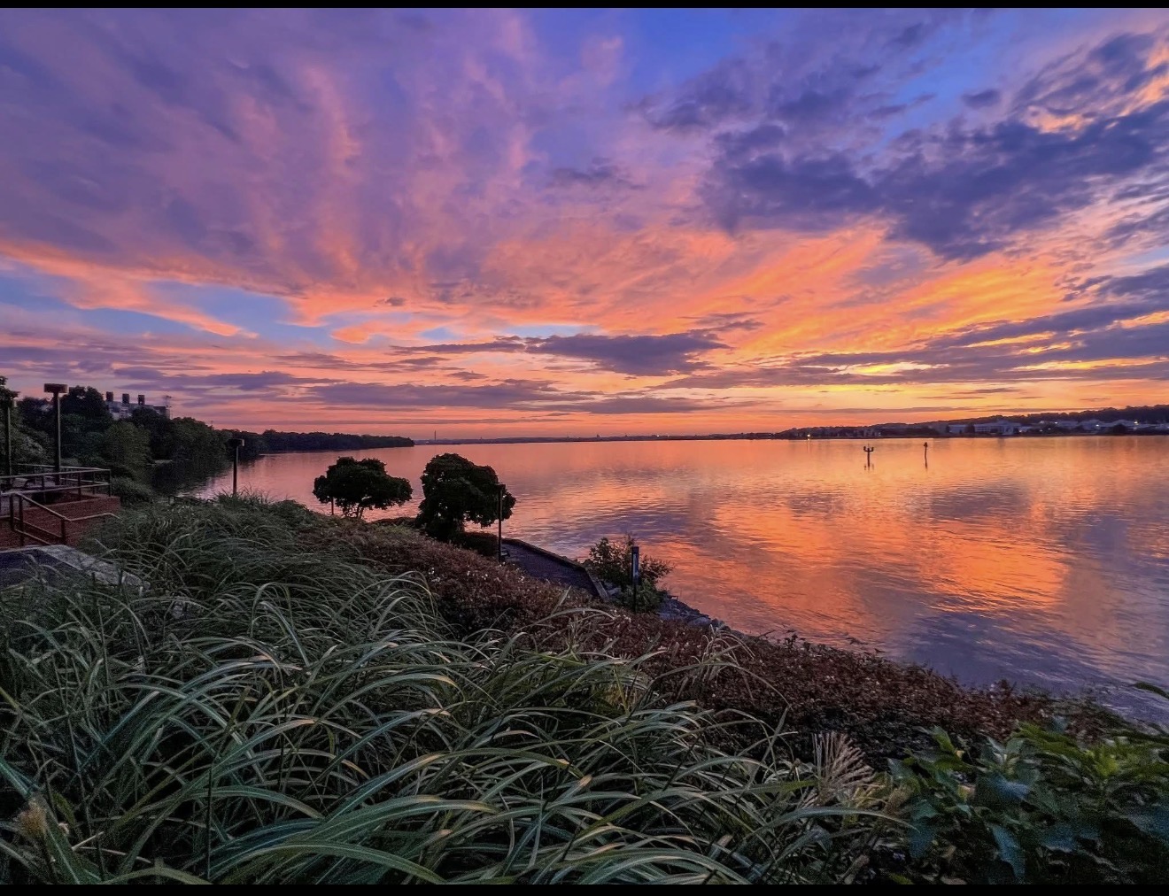 Alexandria Loses a Quiet Visual Poet: Photographer Lee Moody Dies at 72 ...