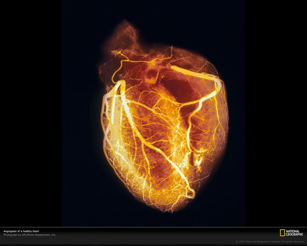 Corazón: lo que verdaderamente tienes que saber - Chema Tierra