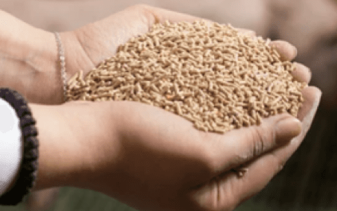 Nuestras marcas - Campi Alimentos