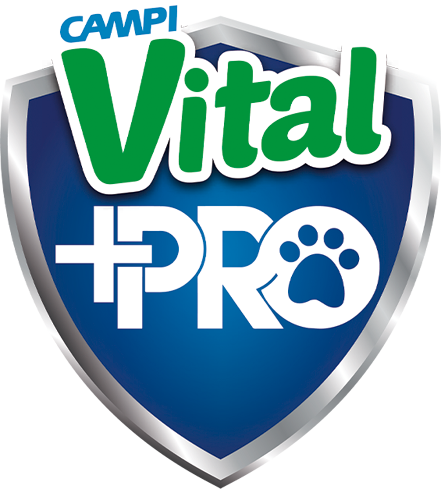 Nuestras marcas - Campi Alimentos