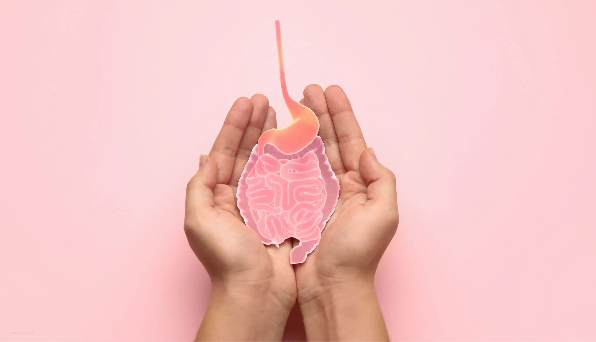 Evinature | Managing Ulcerative Colitis and Bleeding in Your Stool