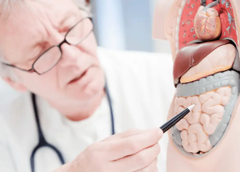 Ulcerative Colitis Stool: Symptoms, Differences, and Relief Tips ...