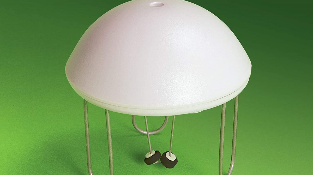 Avian Mister: Pebble Base - Flying Friends