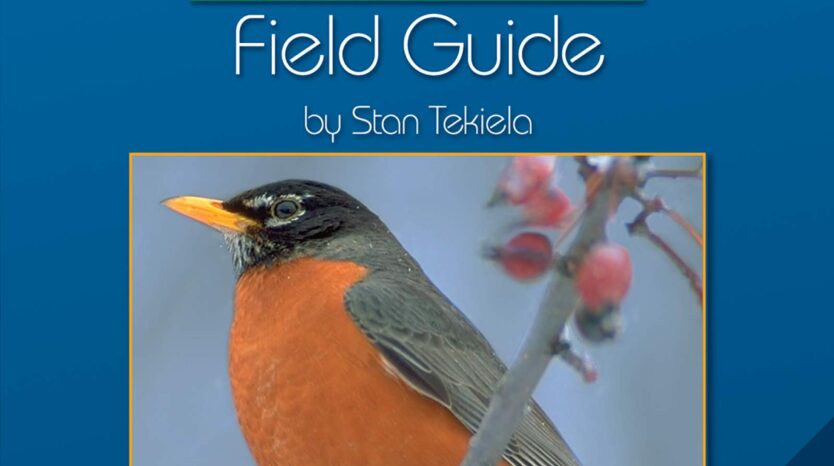 Birds of Wisconsin Field Guide 2nd Edition - Flying Friends