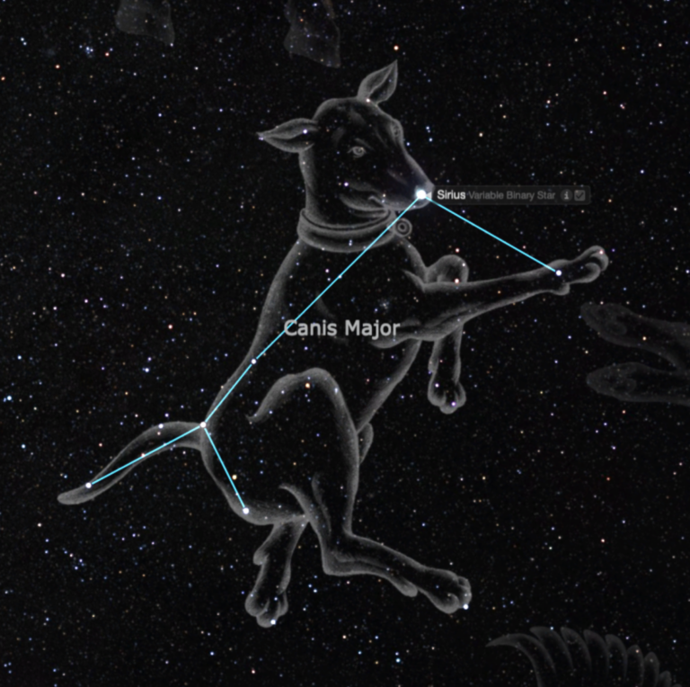 The Dog Star Sirius Coded Into the News: Anthony Fauci, Jacob Frey ...