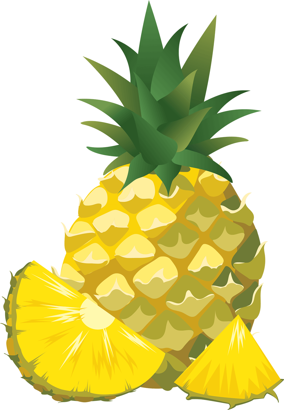 Discover - Sappe Aloe Vera USA