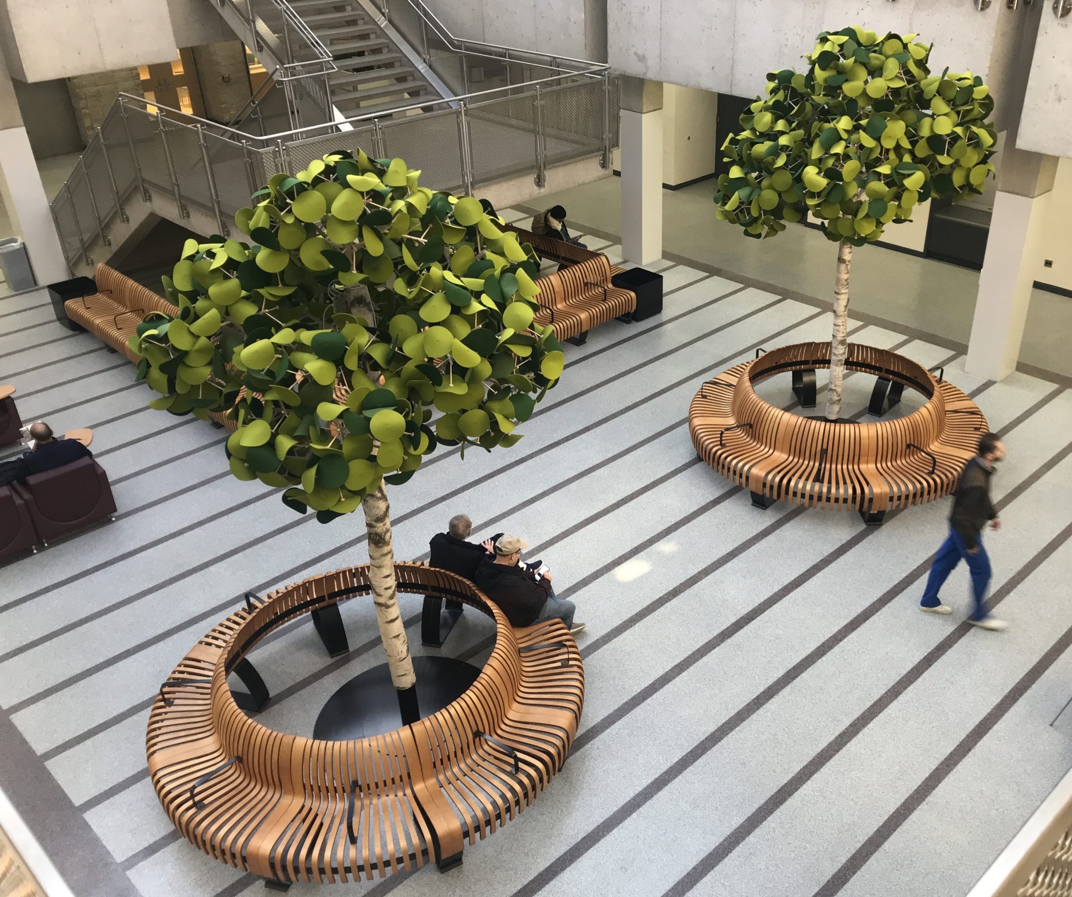 Nova C Back Concave | IROCO