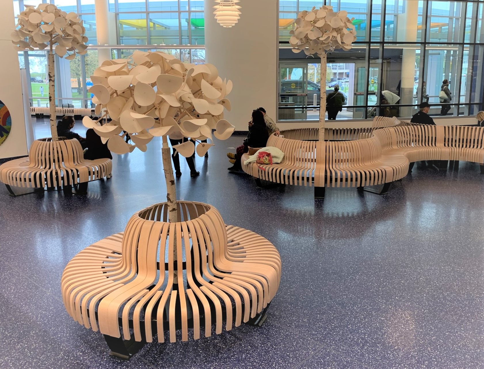 Nova C Back Concave | IROCO