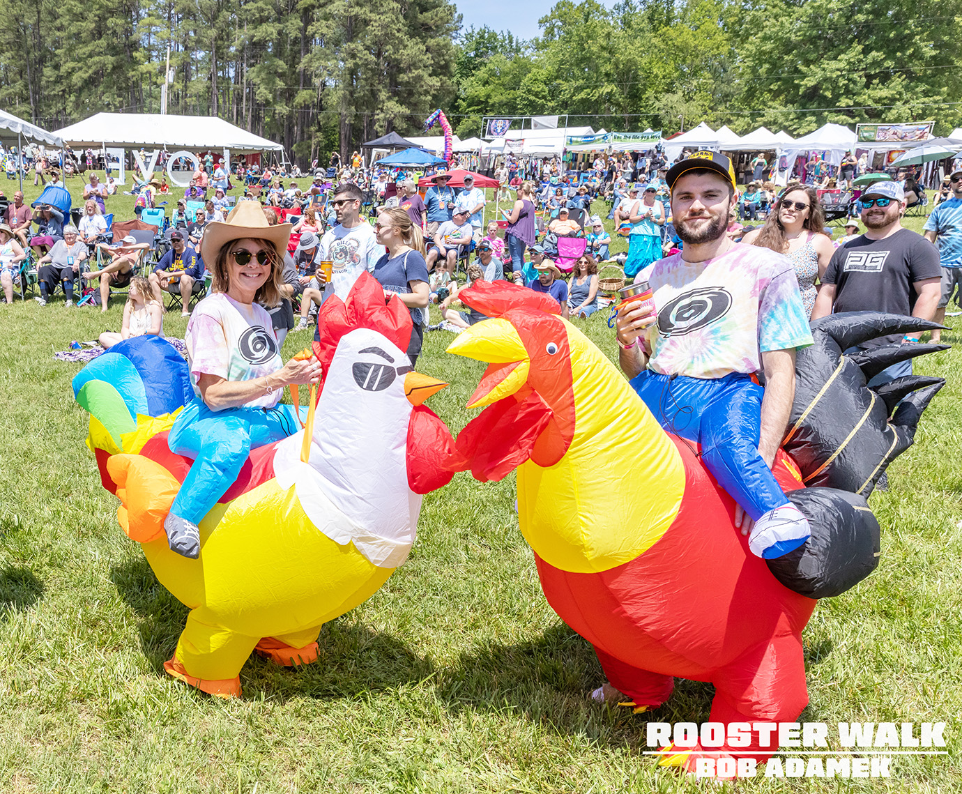 Final bands added to Rooster Walk 14 lineup – Henry County Enterprise