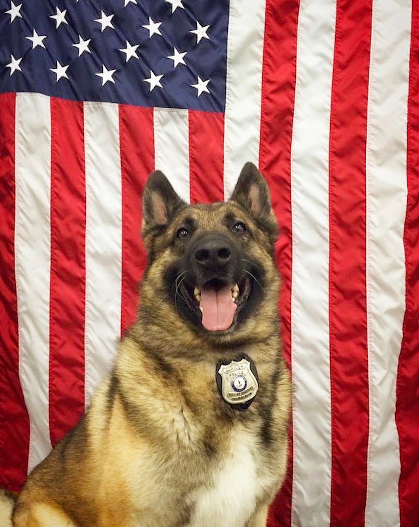 RCPD’s K9 Max to receive body armor – News Journal