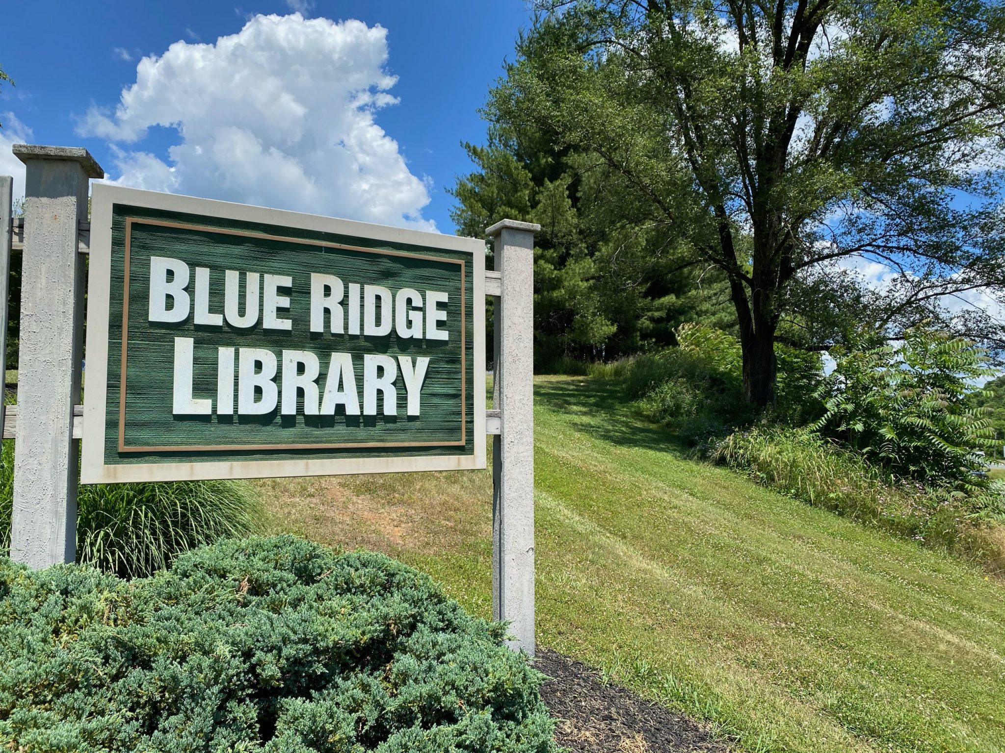 Book sale at Blue Ridge Library – Fincastle Herald