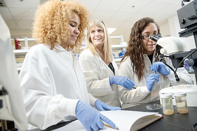 Virginia Tech receives 2016 Higher Education Excellence in Diversity ...