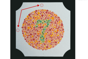 Ishihara Plate Color Test - Color Vision Tests - Precision Vision